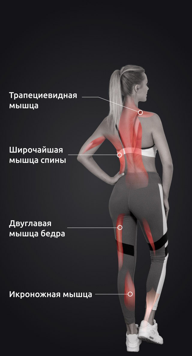 Виброплатформа Yamaguchi Vibroplate Shape Up купить в Москве